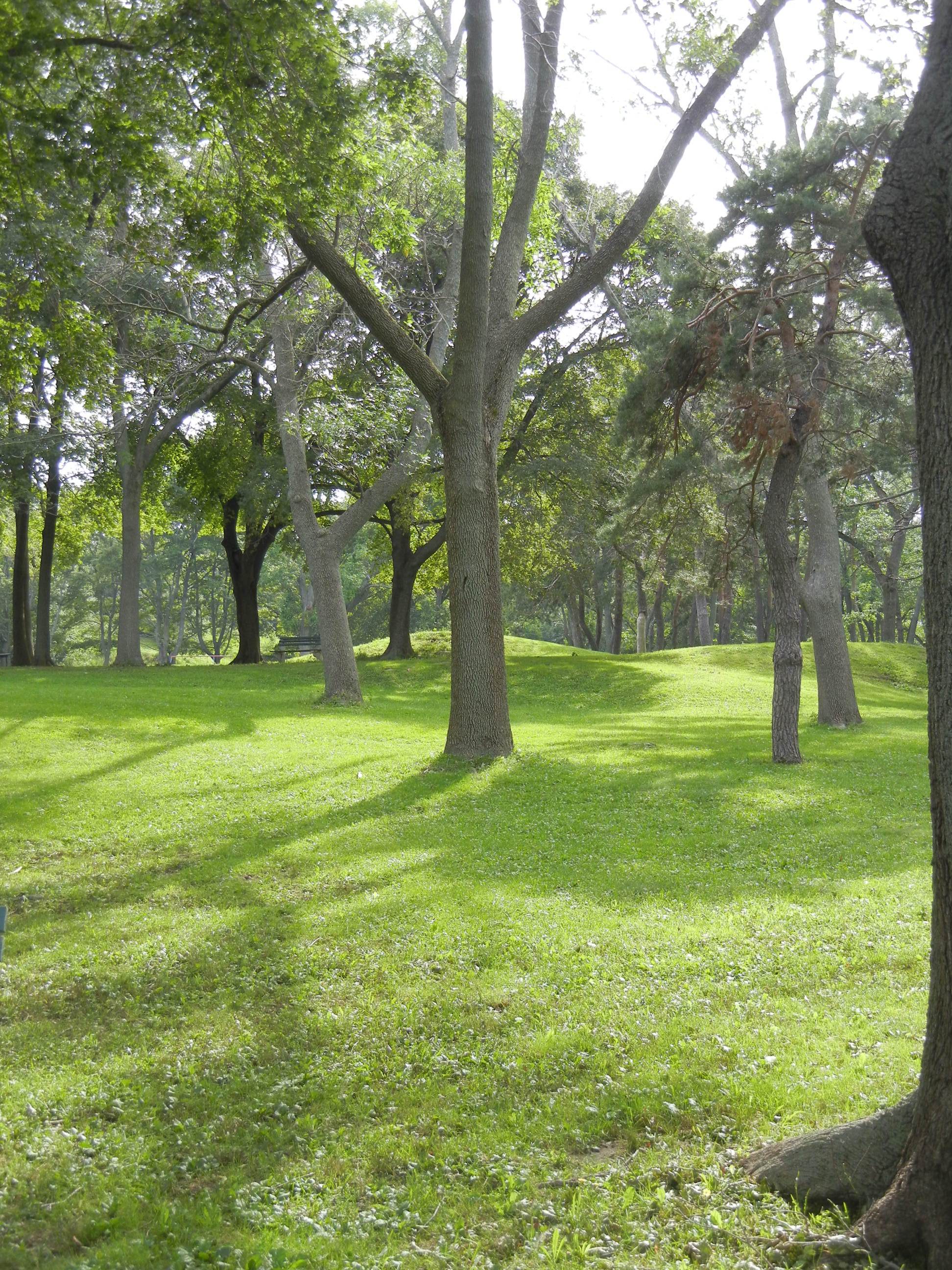 Concrete Slide - streetsofsalem